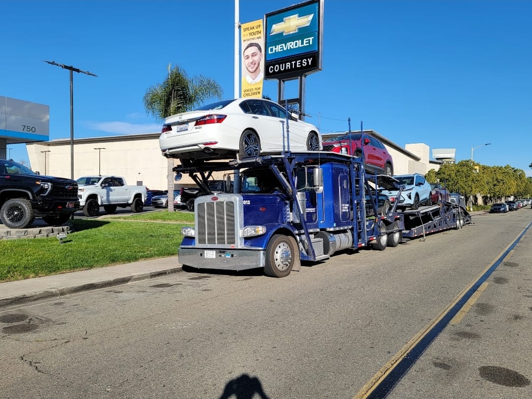 Cross Country Vehicle Shipping Experts | Auto Express